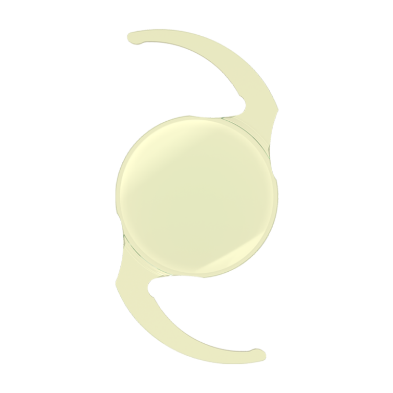 Basis Z Hydrophob - 1stQ