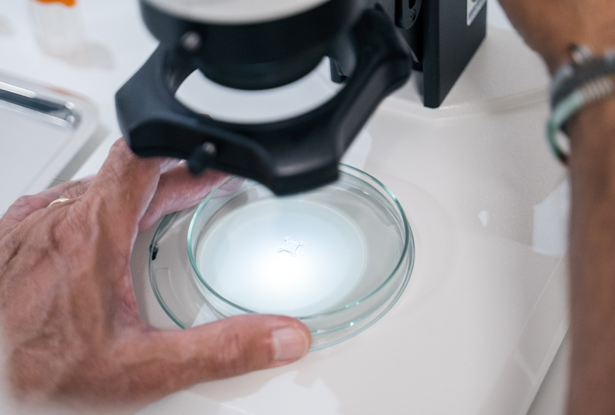 1stQ AddOn im „Journal of Clinical Ophthalmology“ - 1stQ